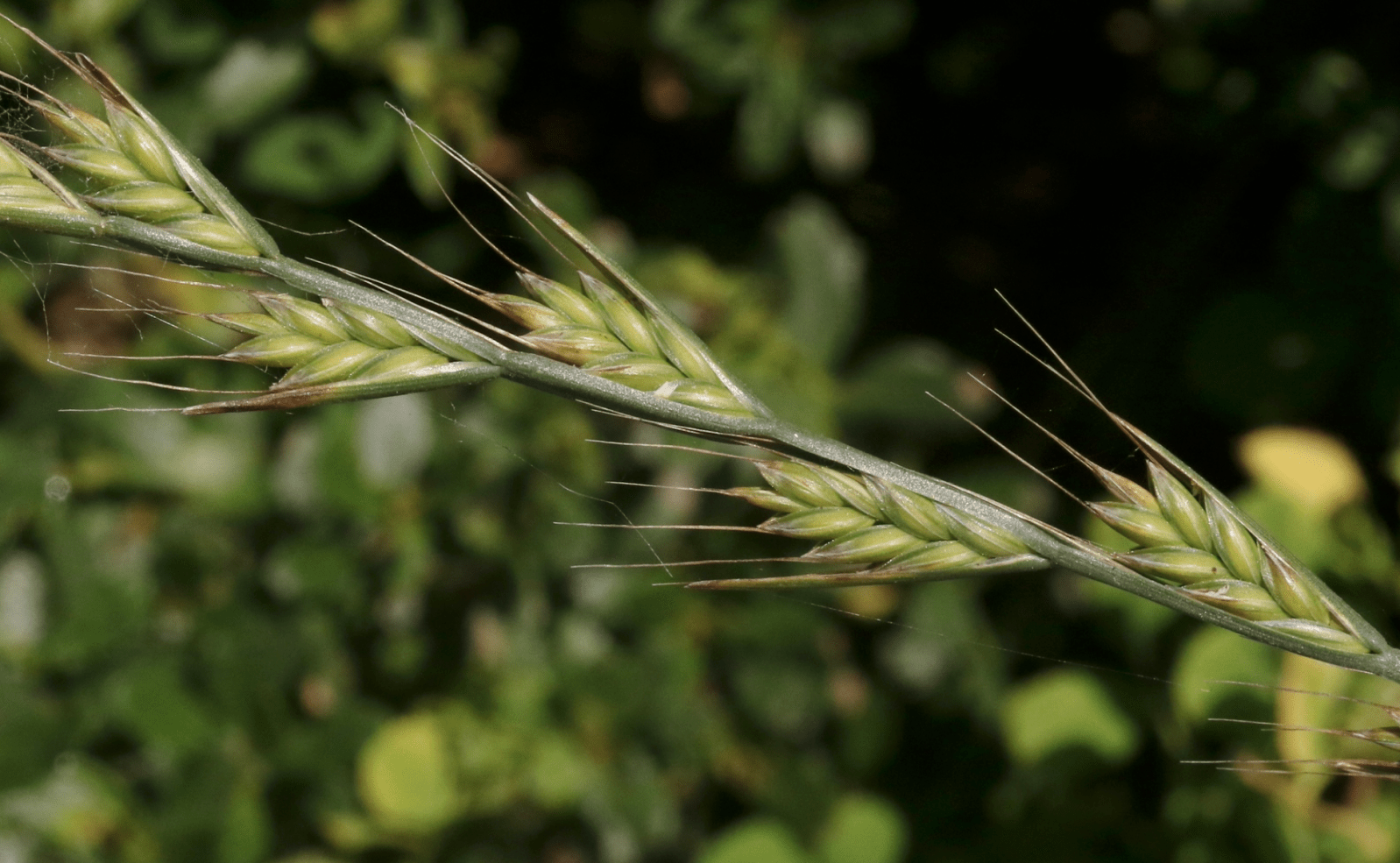 SUNDAY 30 JULY 2023: THE SIXTEENTH SUNDAY IN ORDINARY TIME. – Sunday ...