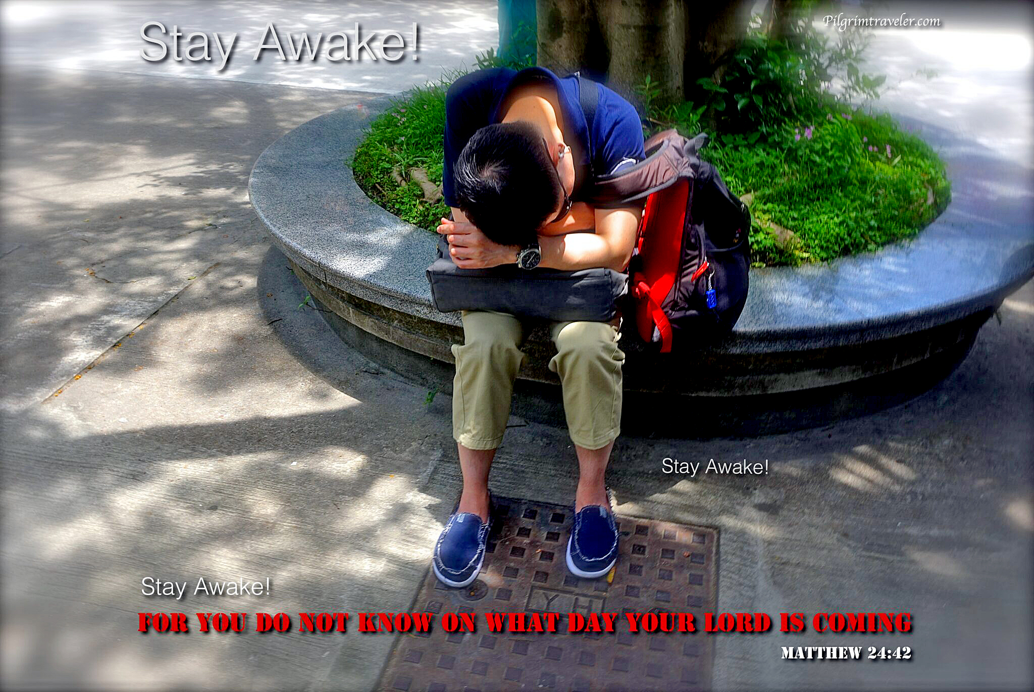 SUNDAY 30 NOVEMBER 2025: THE FIRST SUNDAY OF ADVENT. – Sunday Mass Readings